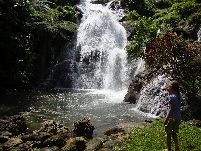 Lardo's Dream: Pictures of Maewo Island, Vanuatu