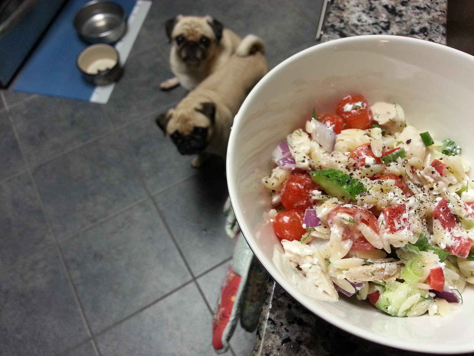 Grubbin' Pugs: Lemony Orzo Veggie Salad with Chicken, Dill, and Goat Cheese