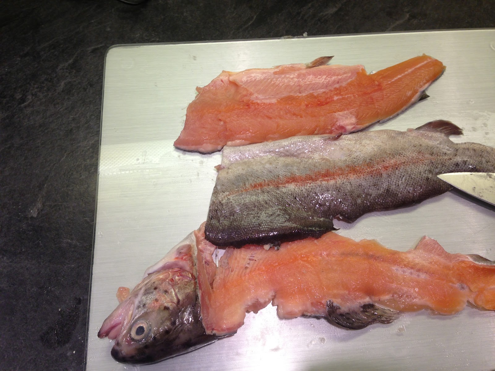 No Direction: Fish Skin Tanning Experiment