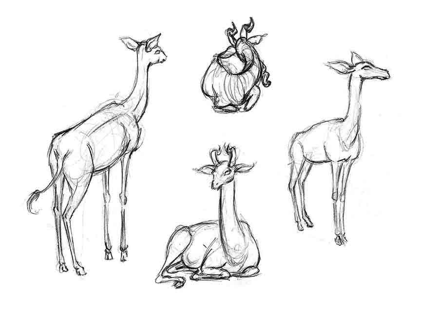 Animal Drawing and Sketching 2016: Kayla Ryyth- Giraffes Zoo