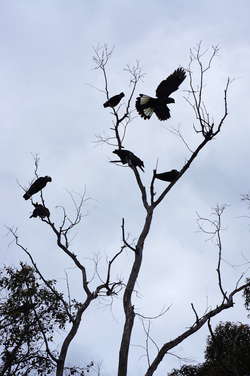 Baldwin's Bluff (Serpentine National Park) ~ The Long Way's Better