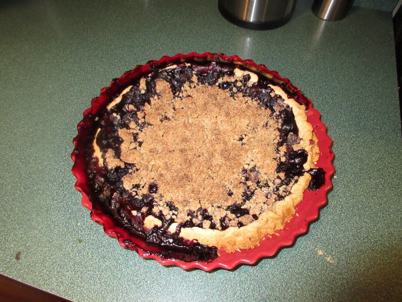 Unremarkable Files: 7 Quick Takes about Unflattering Things To Smell ...