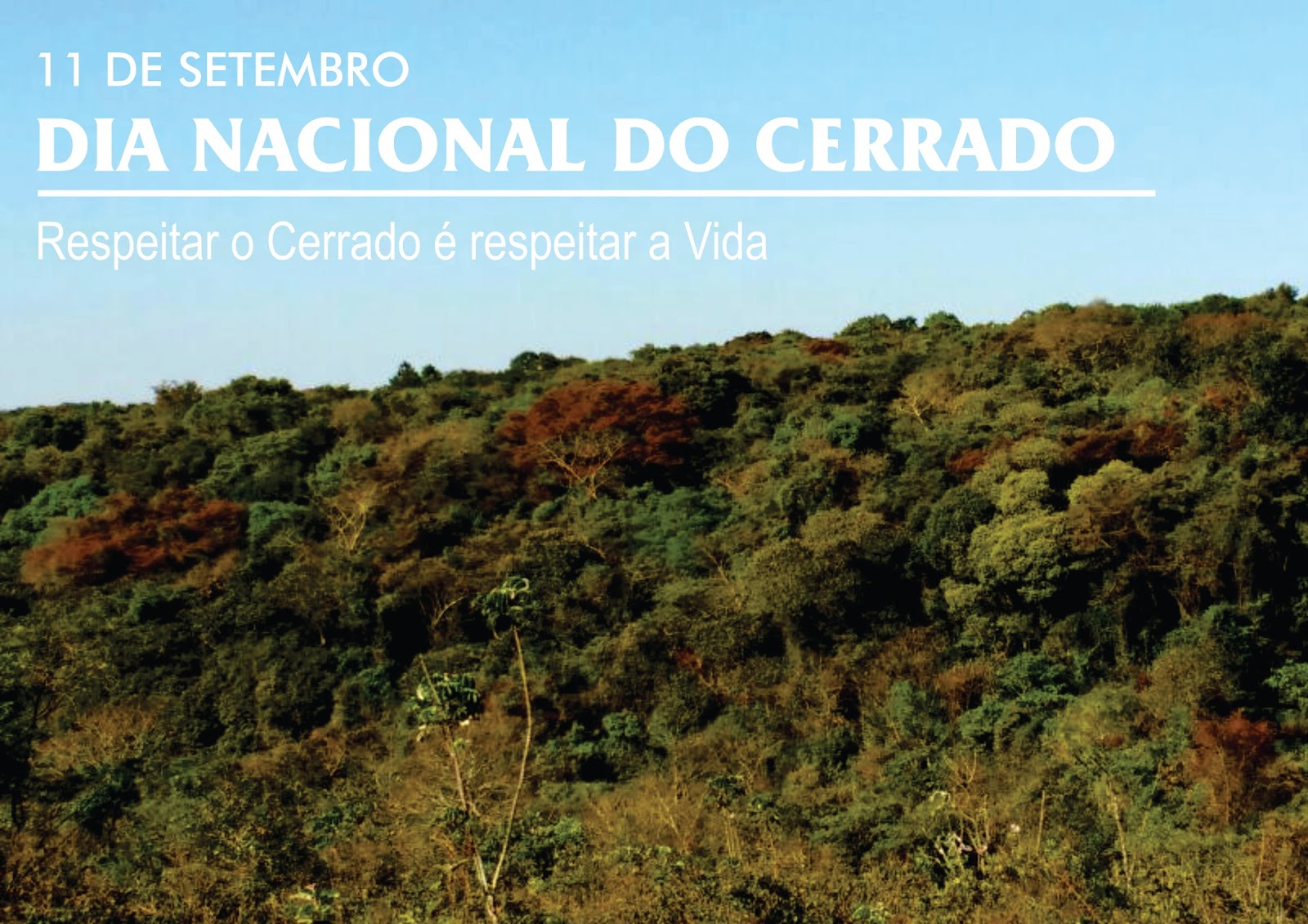 Jardim Botânico Municipal de Bauru: 11 de setembro: Dia do Cerrado