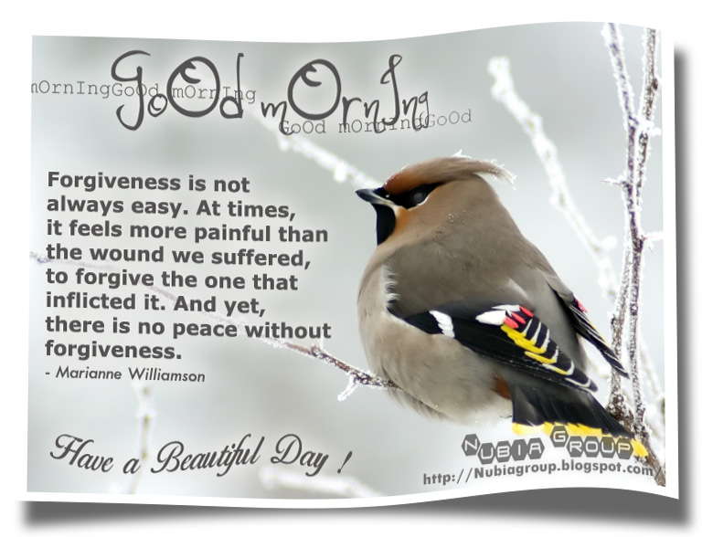 Forgiveness Is Not Always Easy | Images Love Quotes