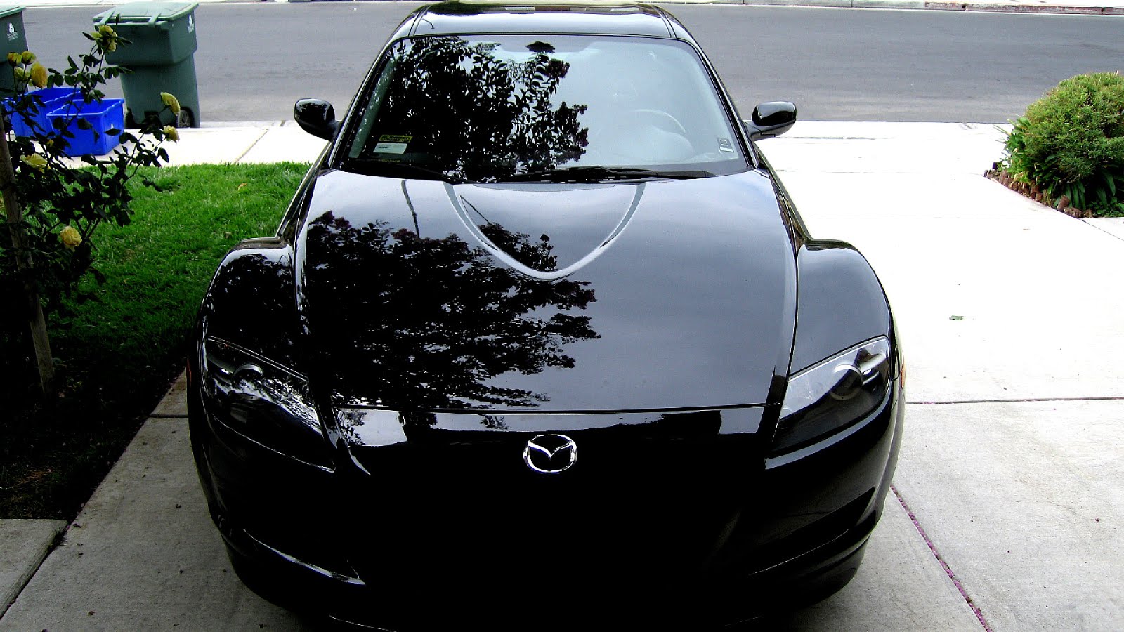 Black Mazda Rx8 - Black Choices