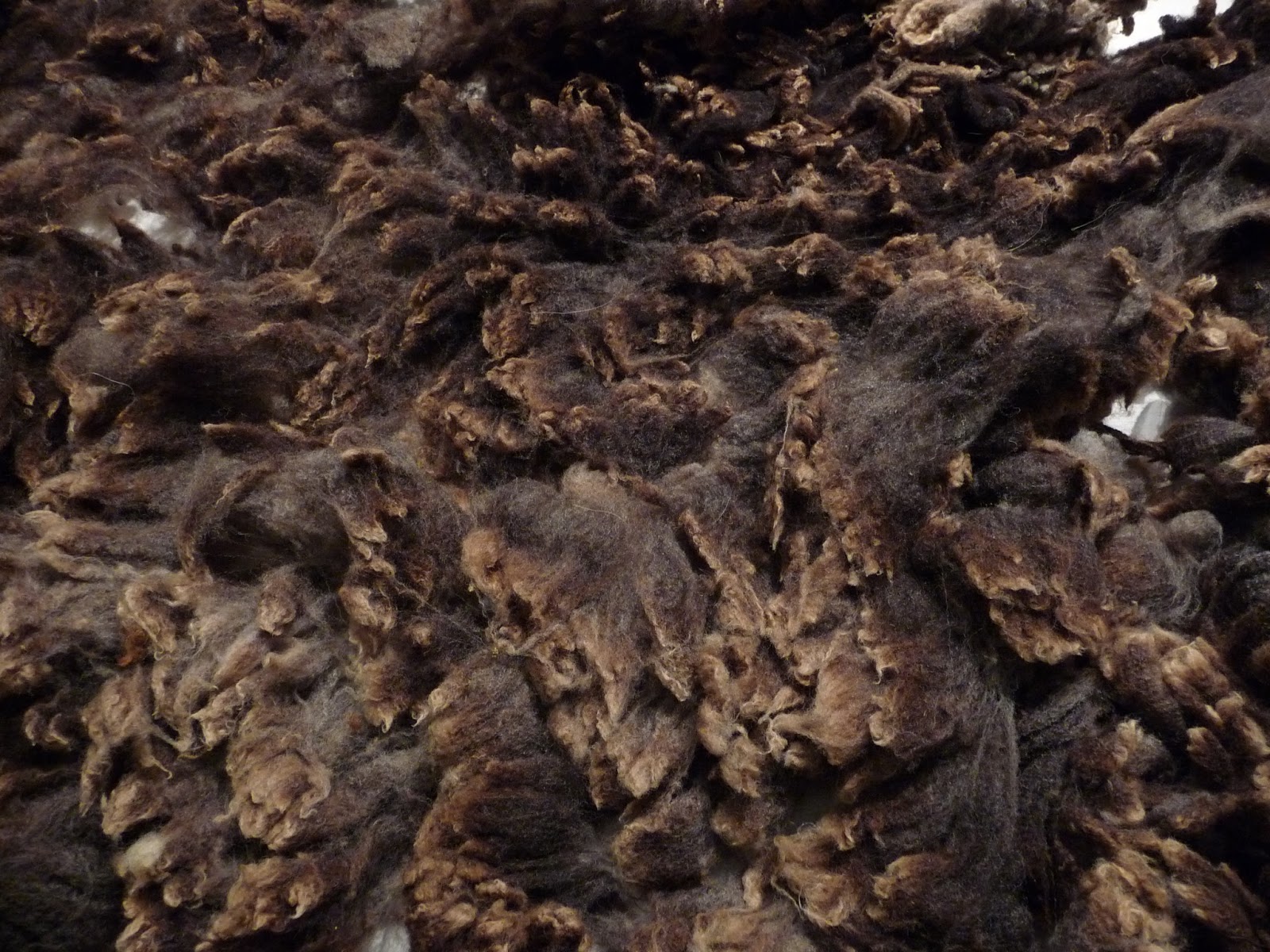 Wool - Tribulations of Hand Spinning and Herbal Dyeing: Skirting and ...