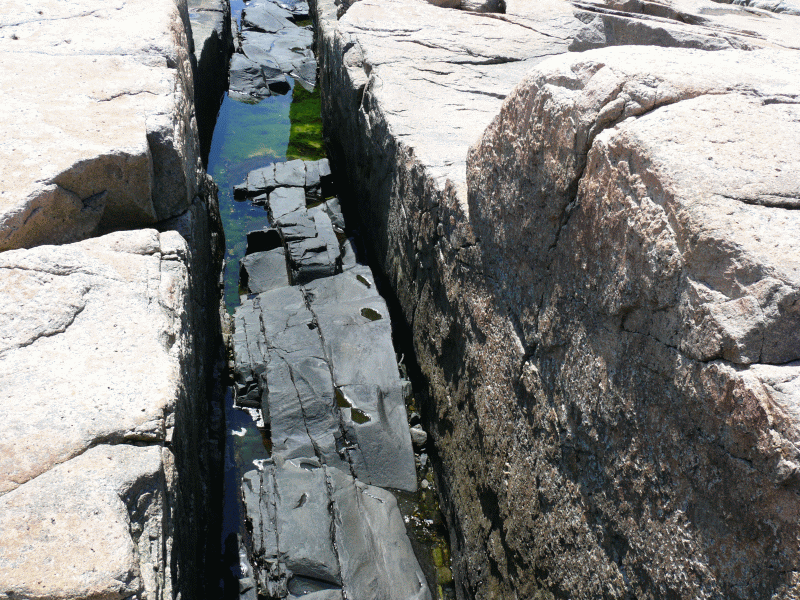 Schoodic Point ~ Hudson Valley Geologist