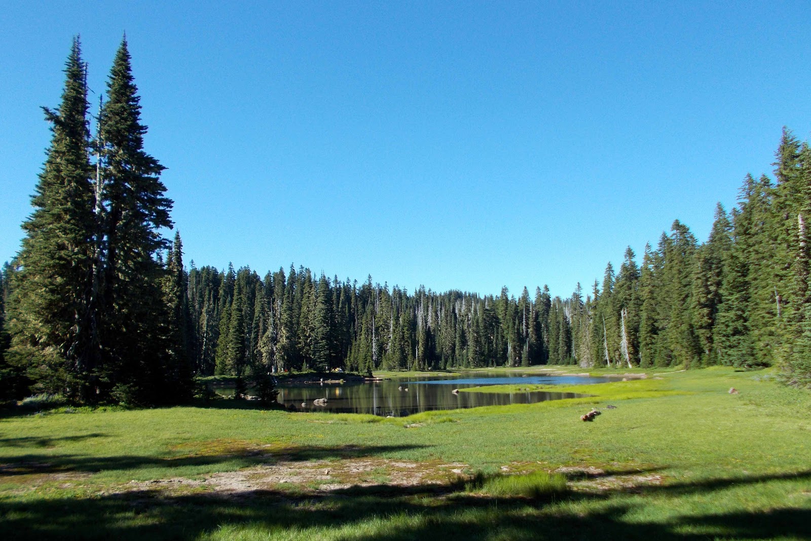 Ingrid on the PCT: Washington Section C: White Pass to Snoqualmie Pass ...