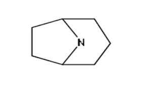 My Chemistry Journey: ALKALOID