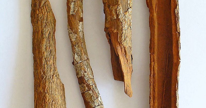 Encyclopedia of Trivia: Quinine