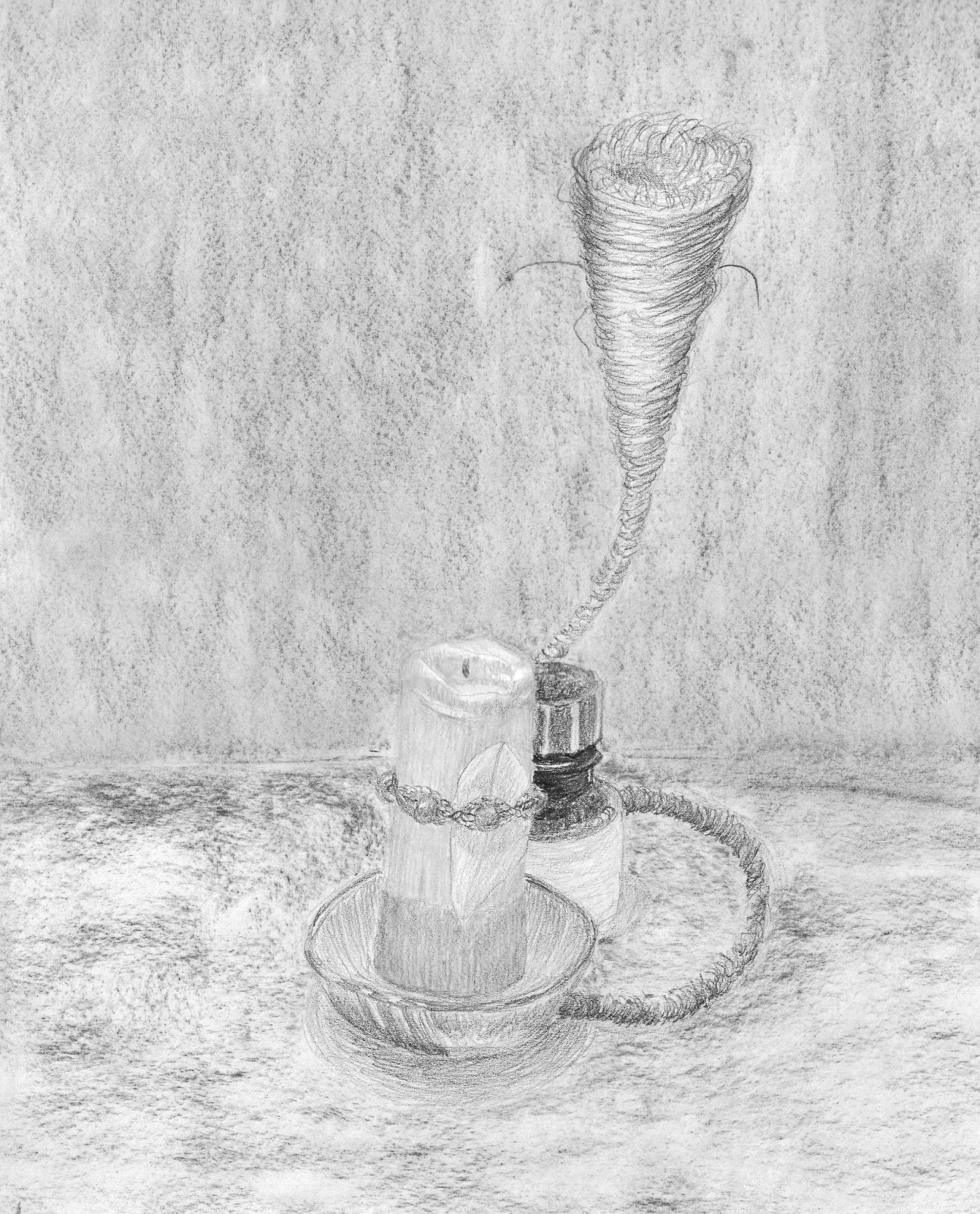 Advanced Observational Drawing: Final pieces of finished work