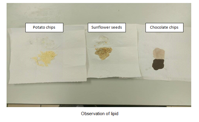 SBK3033 FOOD SCIENCE : LAB REPORT 1-4