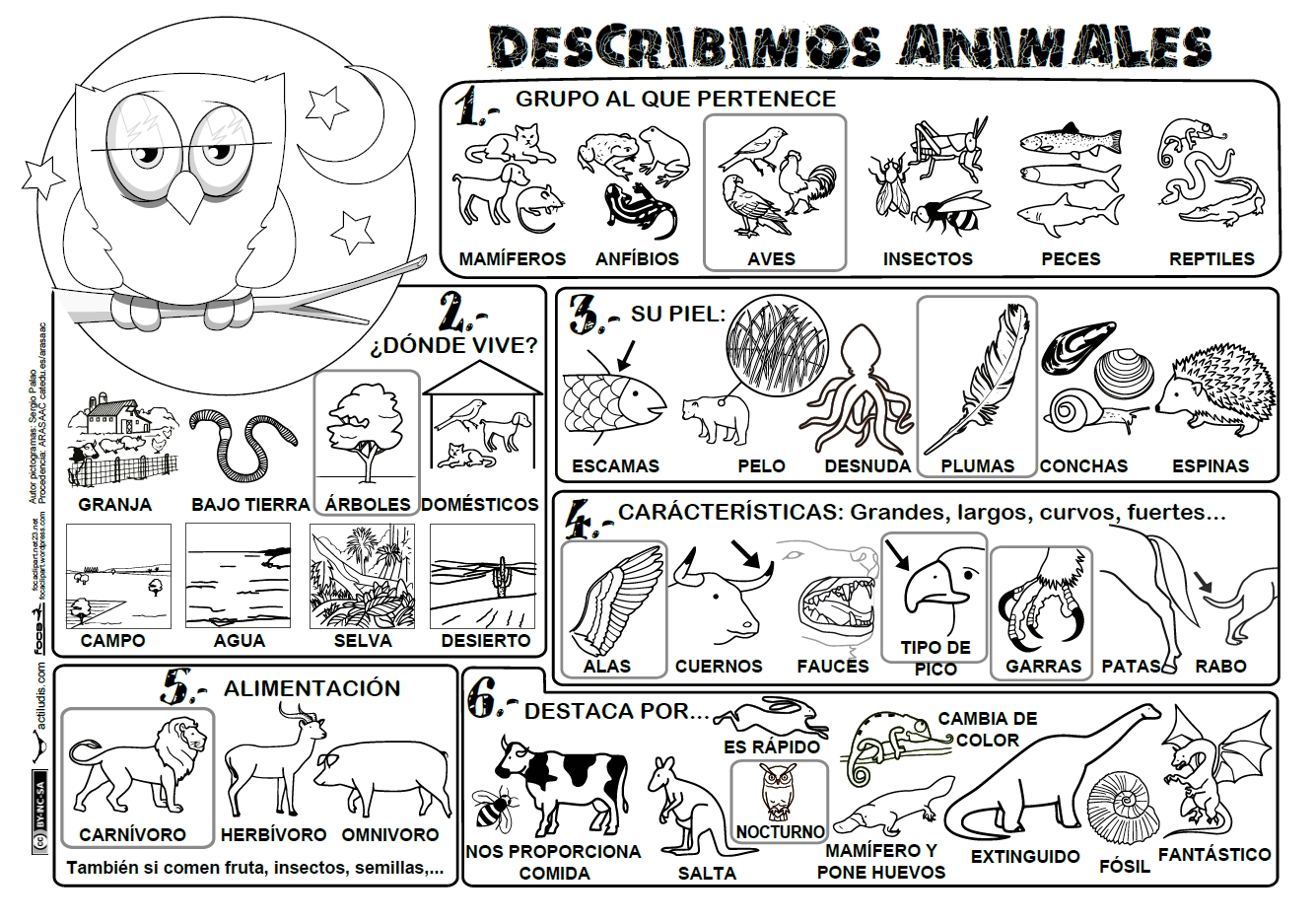 Curso de Español del Colegio Ziv - Jerusalén, Israel: ¿Cómo describimos ...