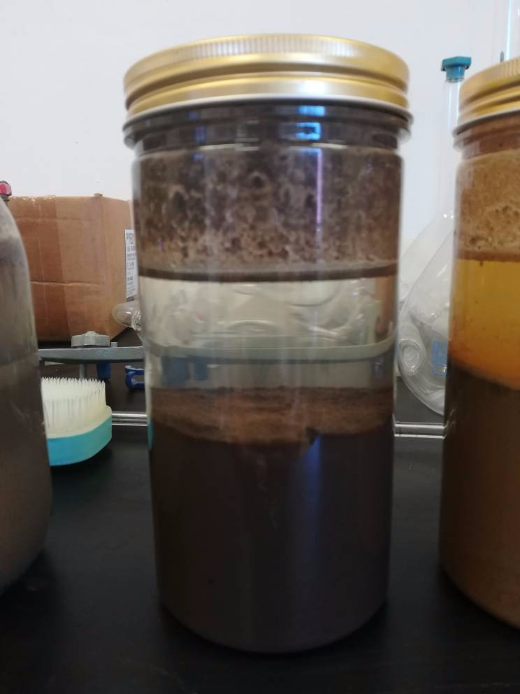 First Lab Report: JAGUNG PANDAN (Analysis of Soil Colour and Soil Texture)