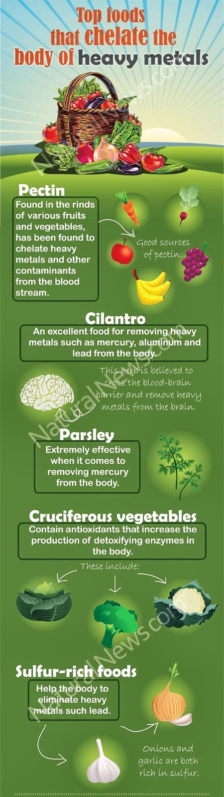 Health & nutrition tips: Top foods that chelate the body of heavy metals