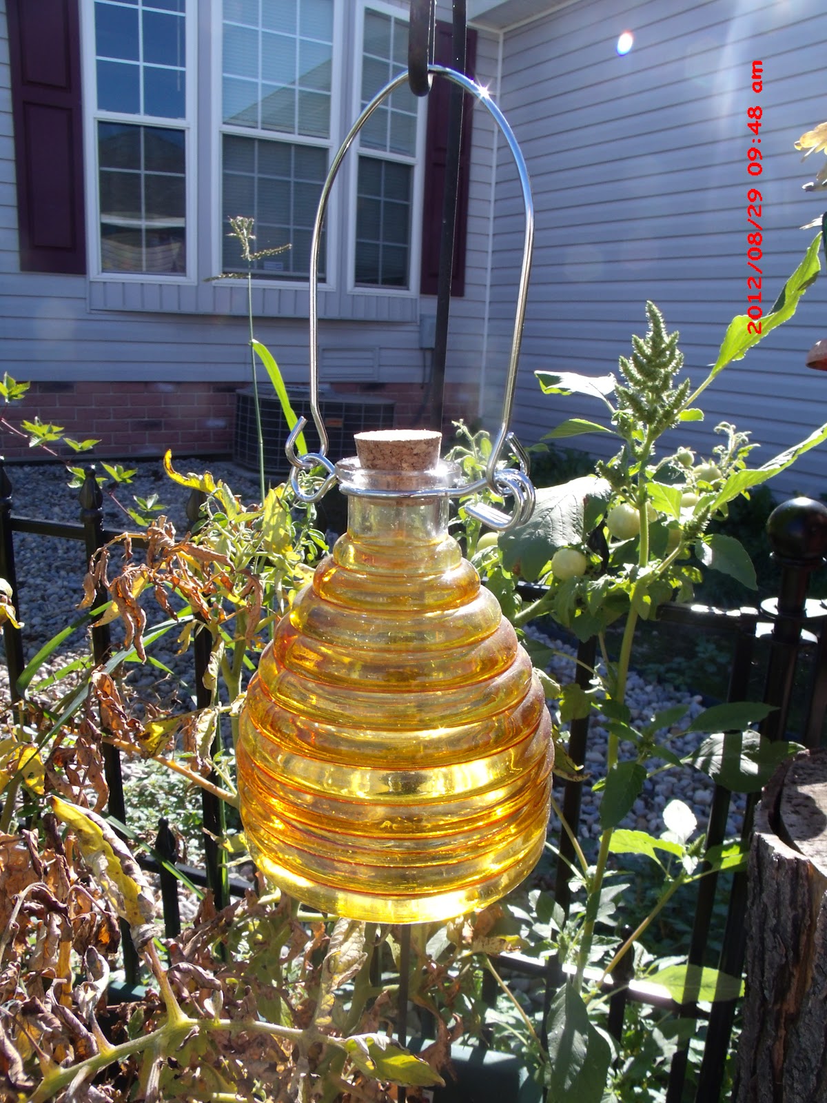 A Lucky Ladybug: Mad About Gardening Wasp Trap Review and Giveaeway