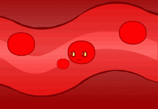 La sangre: Componentes de la sangre