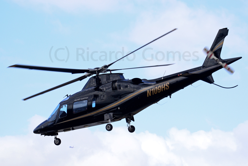 Ricardo Gomes - The True Life of a True Spotter: Spotting Trip @ Los ...