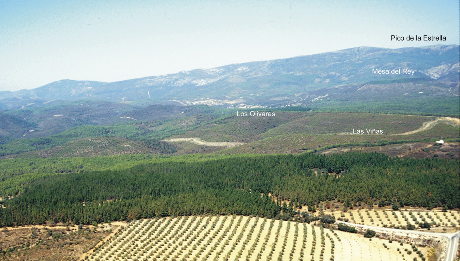 Miranda del Rey: Miranda del Rey en la Batalla de las Navas de Tolosa