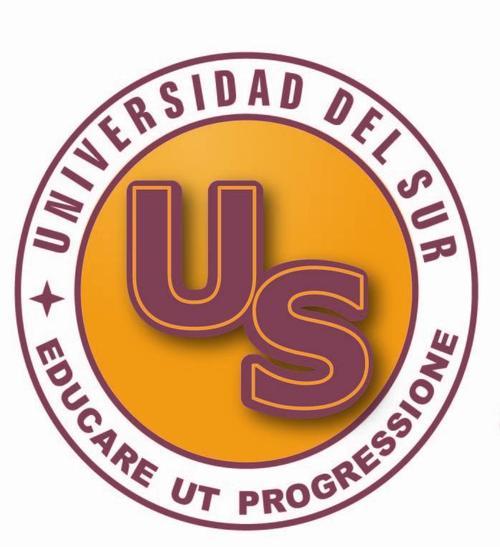 Tecnologías en la Universidad del Sur: Biografía