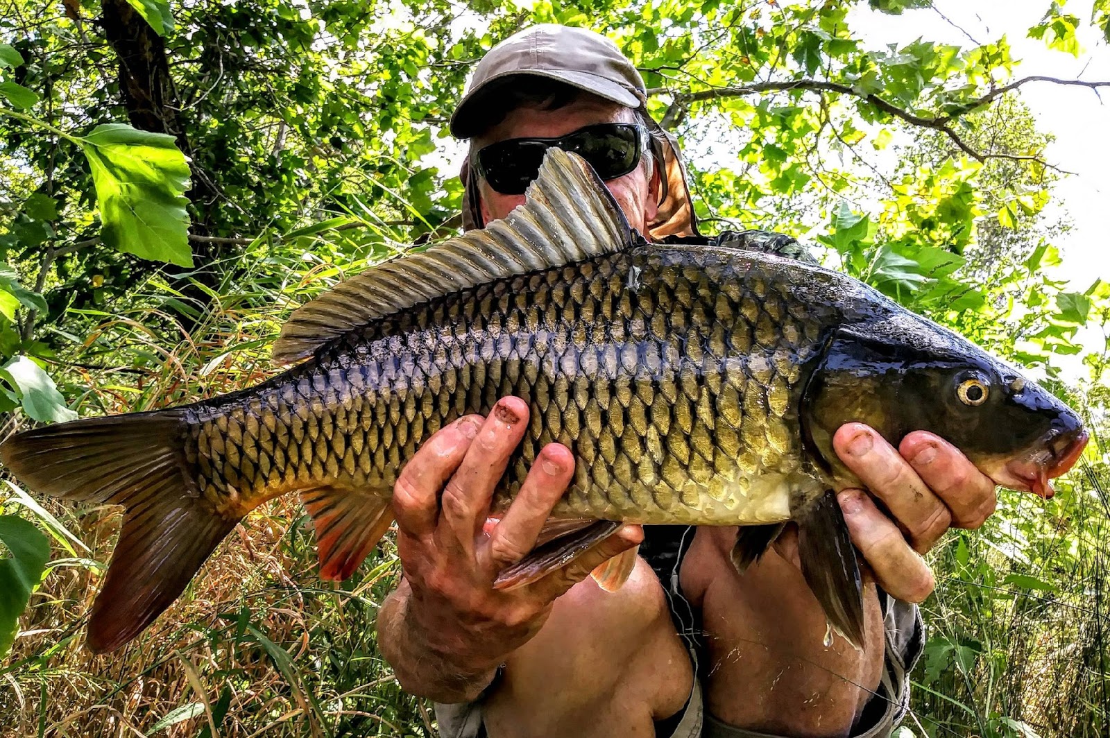 Rhode Island Carp Fishing: In a Summer Slowdown; 900th Carp of the Year ...