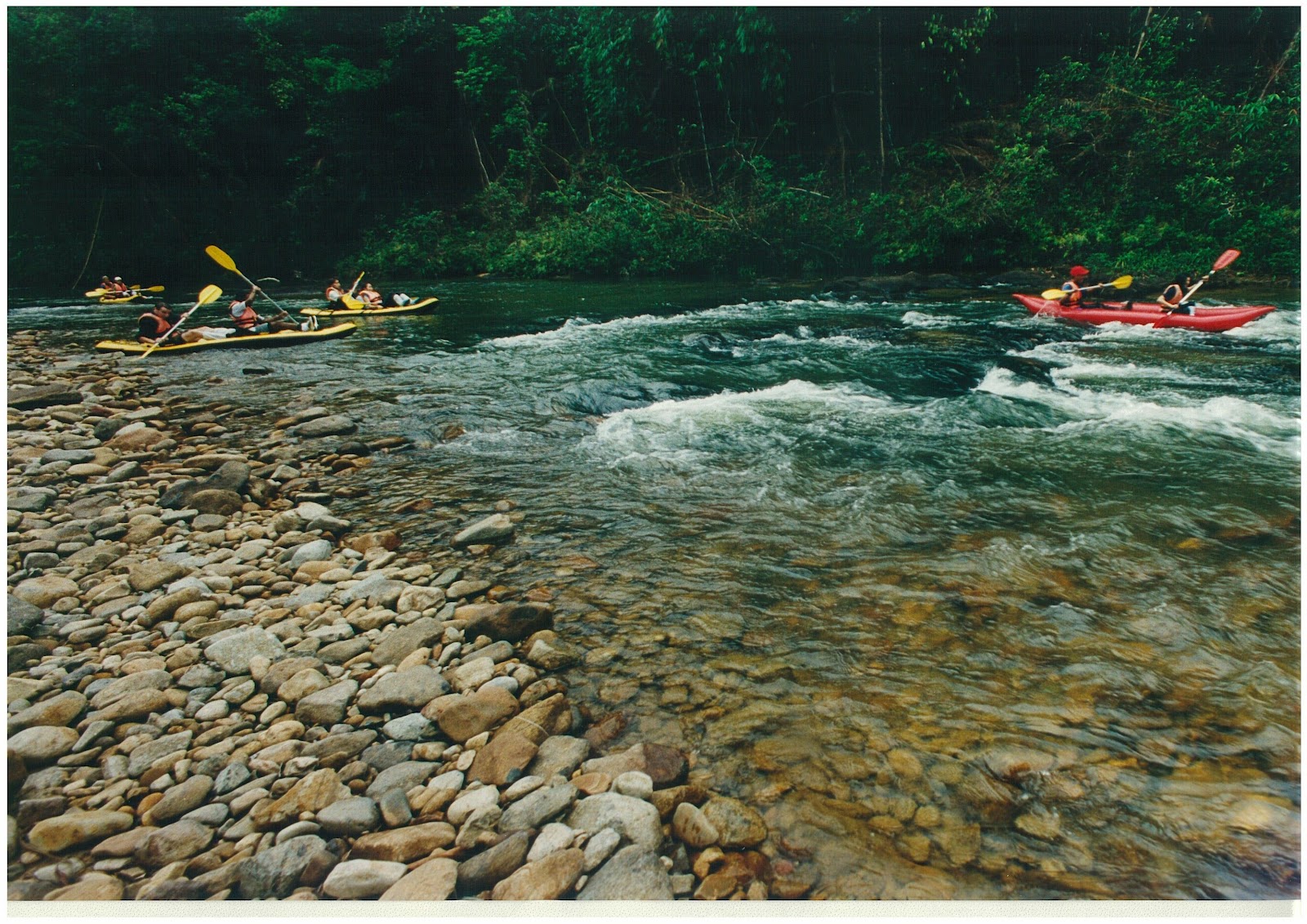 Johor National Parks: Endau-Rompin PETA