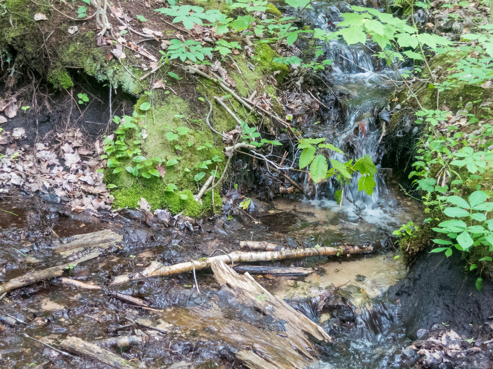 Eric's Hikes: Jordan River Pathway/NCT loop