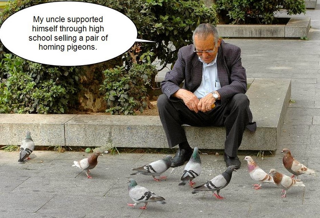 Chuck's Fun Page 2: Just some random humor - 18 images