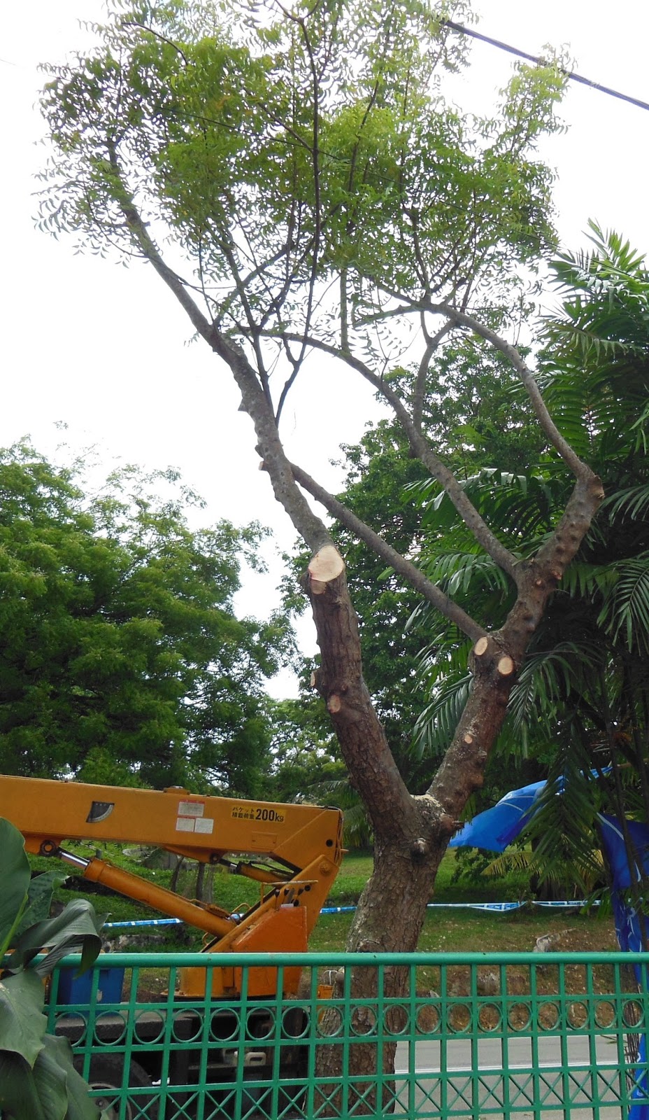 SEKILAU one: OPS MAMBU SEMAMBU