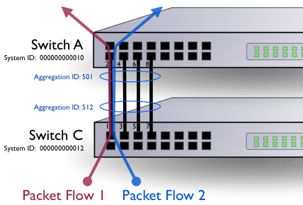 What is a software lag switch - pitker