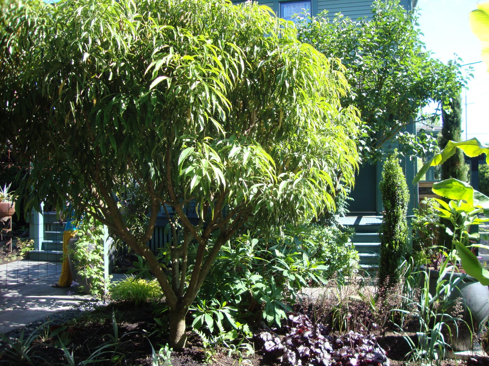 danger garden: Visiting the Lilyvilla Garden...