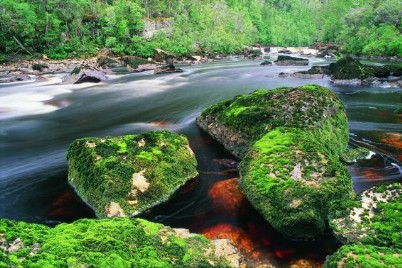 EXPLORING TASMANIA: Tasmania's Top Destinations (Part 1)