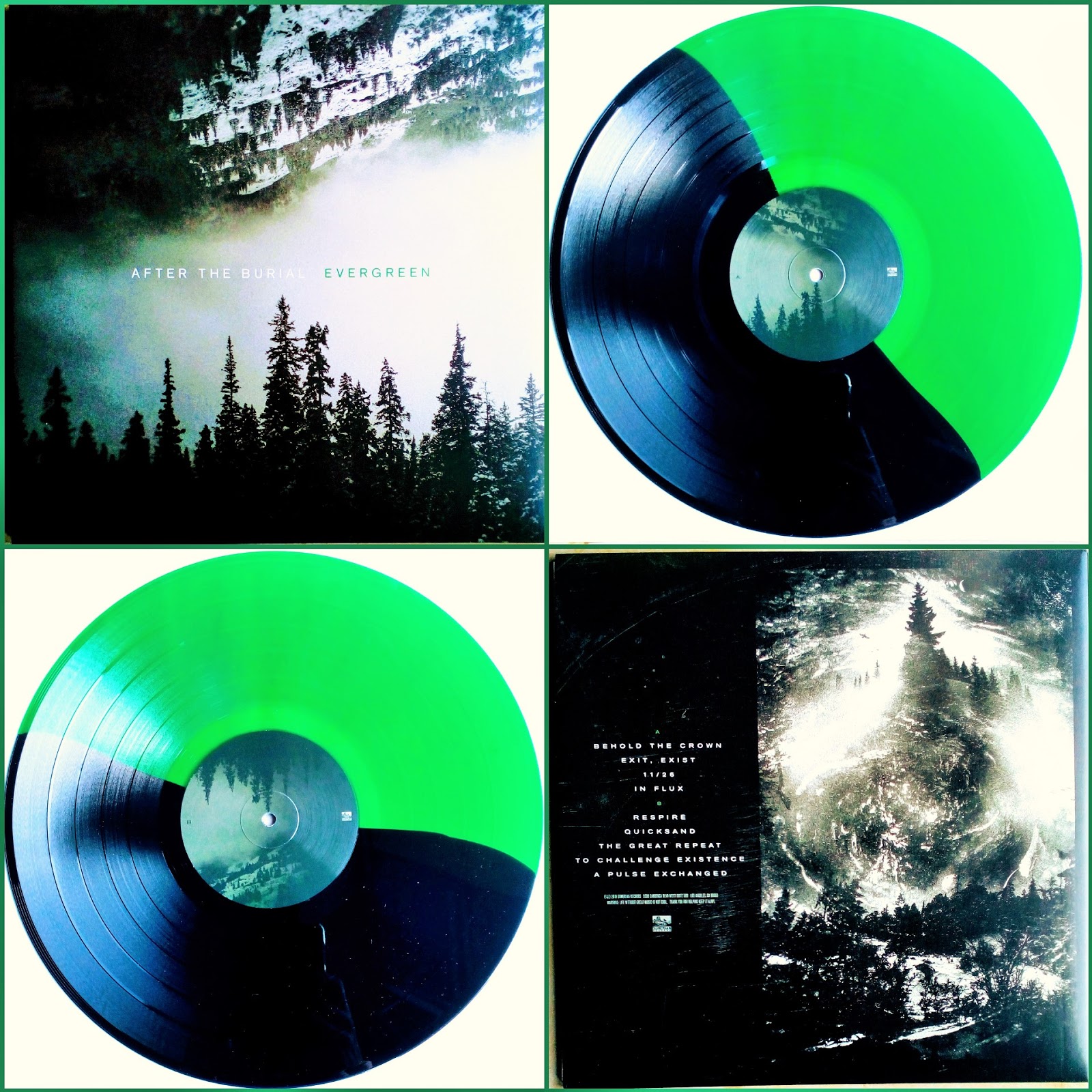 hardcore/metal vinyl: after the burial - evergreen