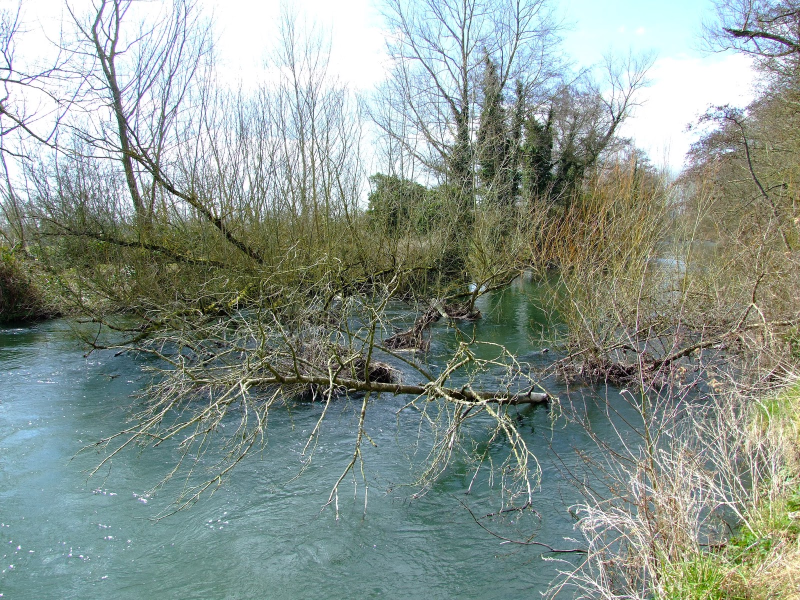 Canoeing and Kayaking on The River Kennet: Minority environmental abuse ...