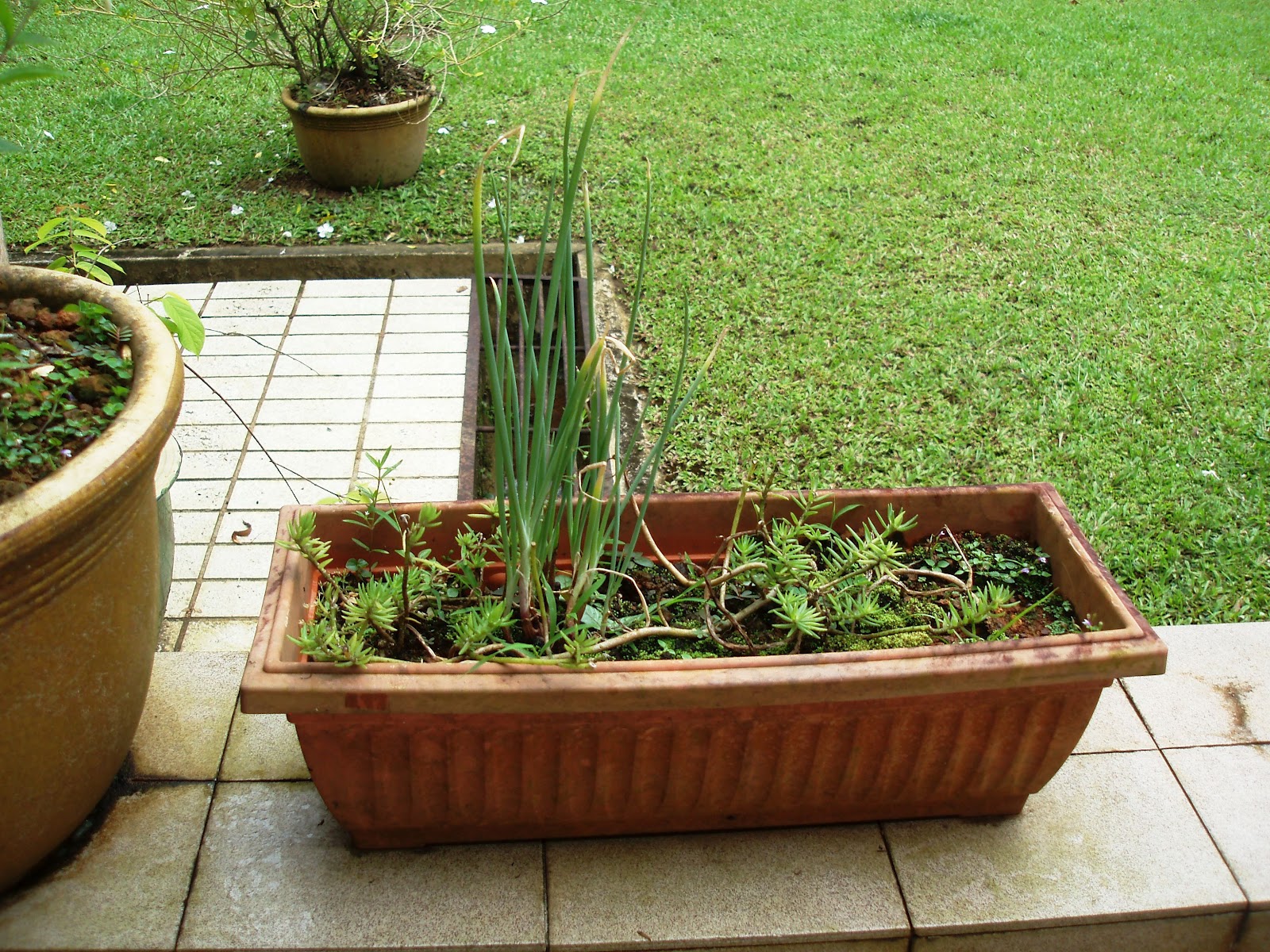 25+ Koleksi Terpopuler Pot Bunga Di Taman