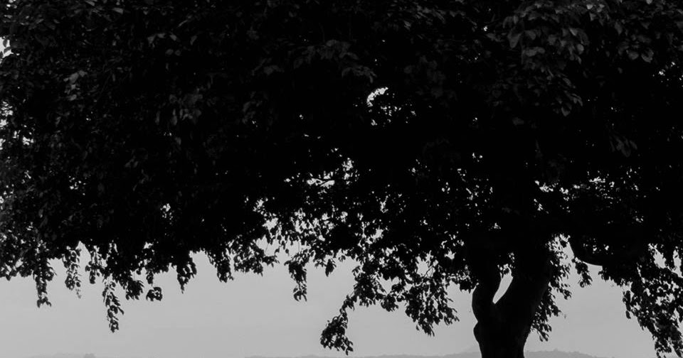 LIM Yu-Book : A Truly Great Leader