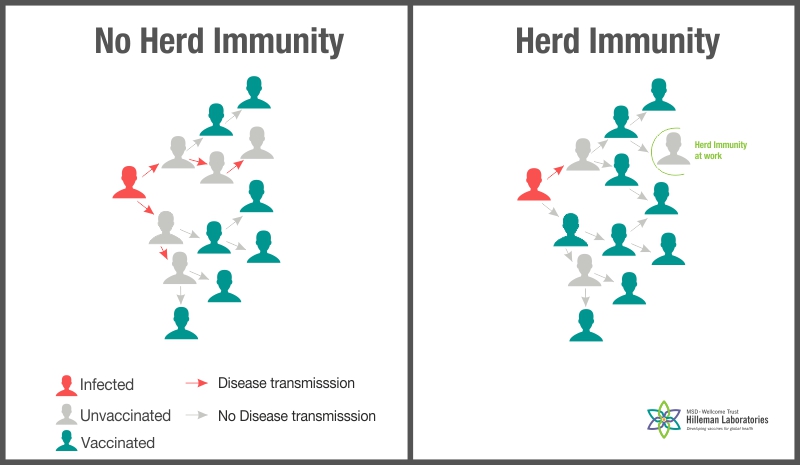 Hilleman Laboratories: All you need to know about ‘Herd Immunity’