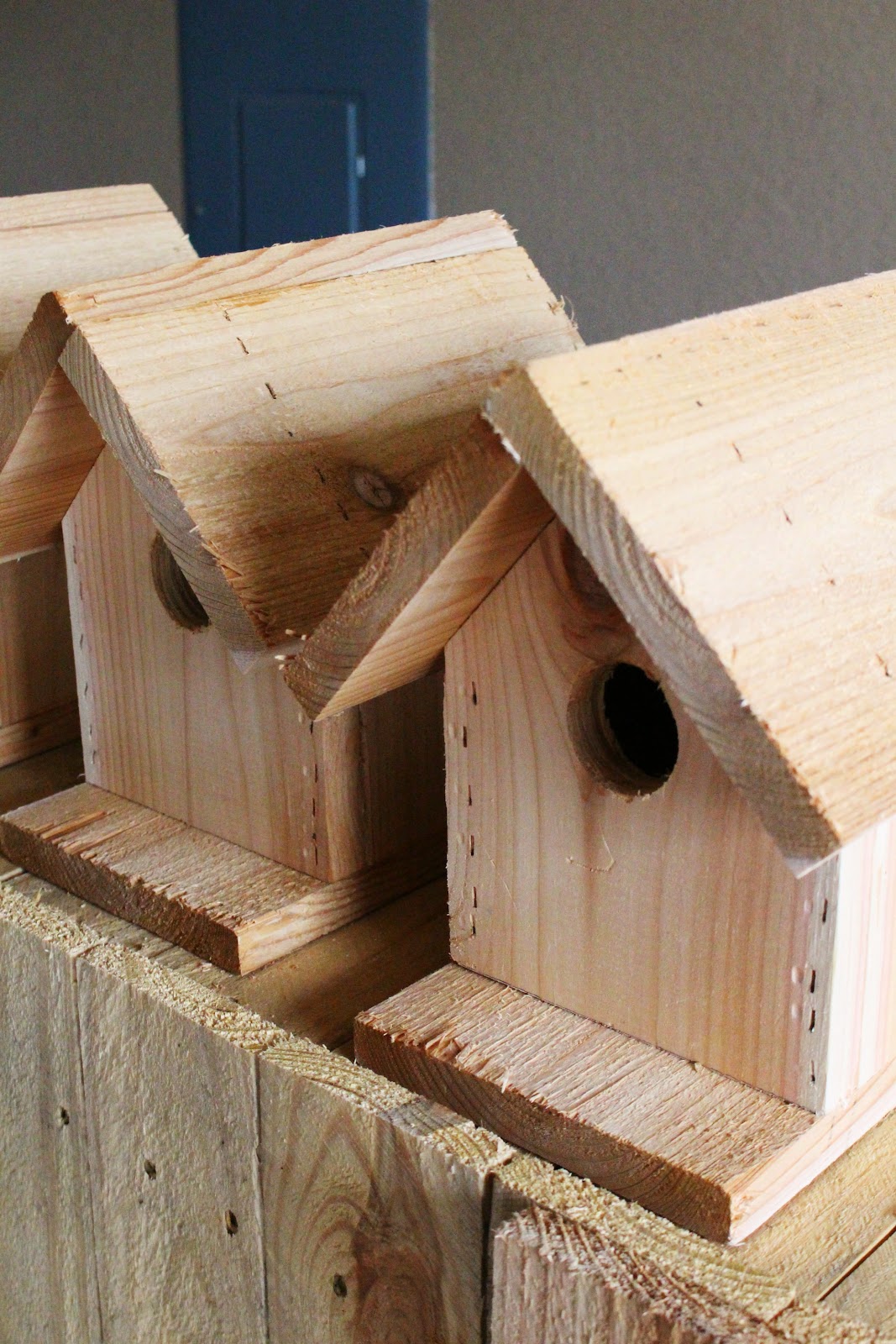 PB J Babes Summer Fun Birdhouse DIY pb-j-babes-summer-fun-birdhouse-diy