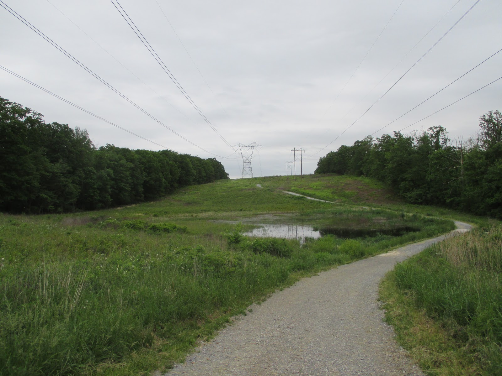 Musings of a Literary Wanderer: Rocky Ridge Park