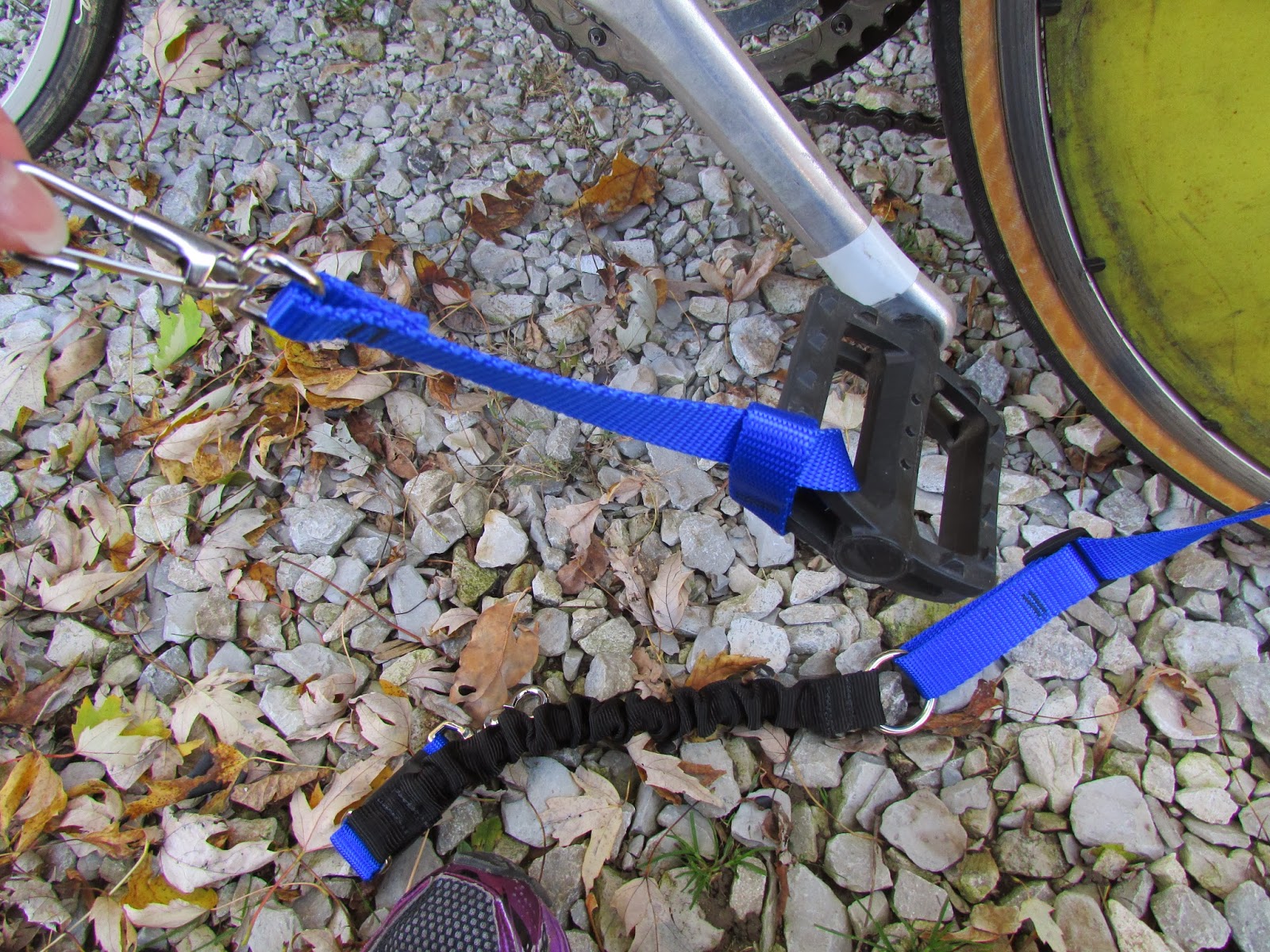 My Rotten Dogs: Dogger Jogger Review