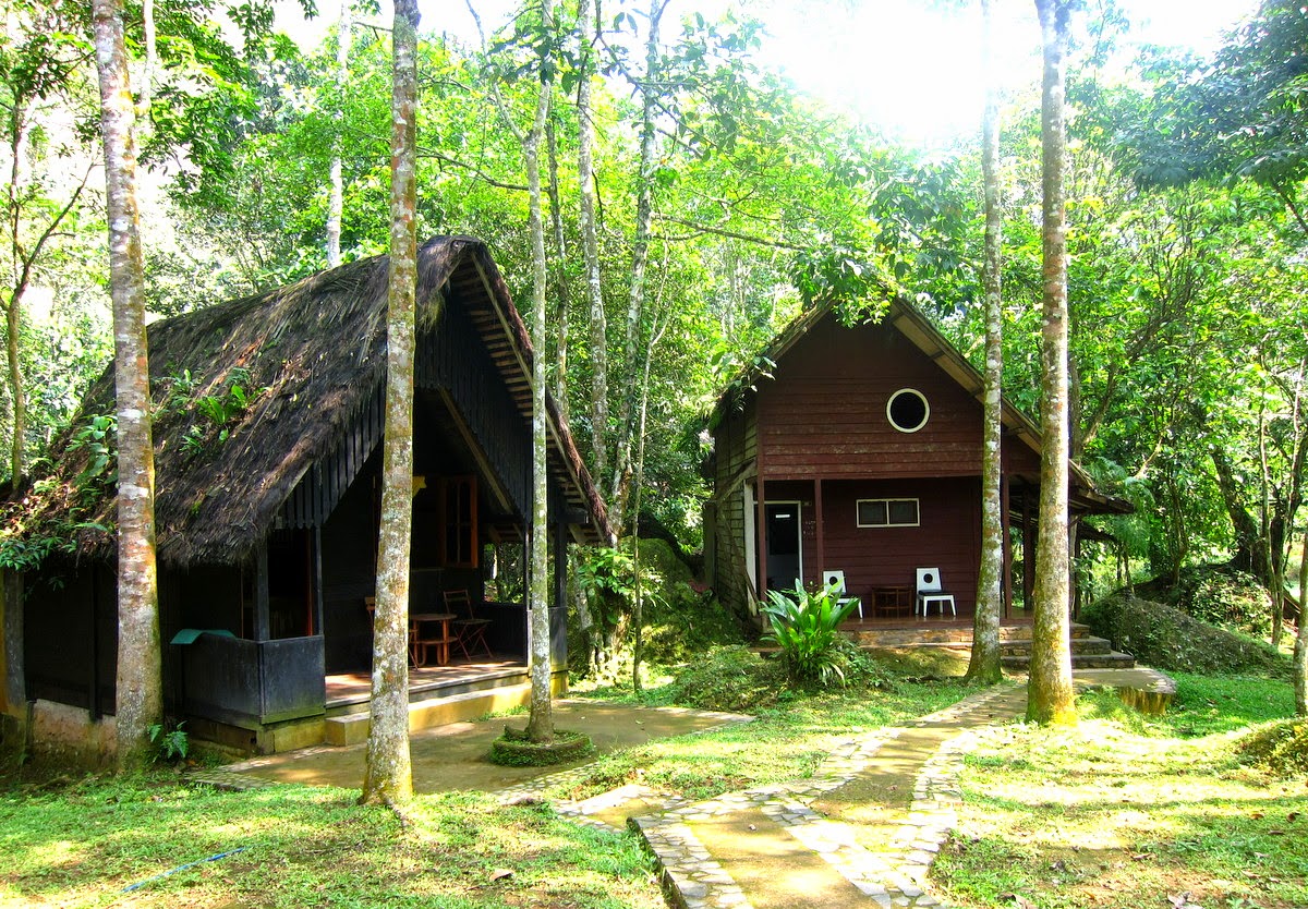 Travelholic: Harau Valley | Lembah Echo Homestay