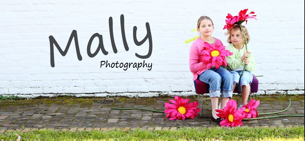 Mally Photography: Themed Mini Sessions