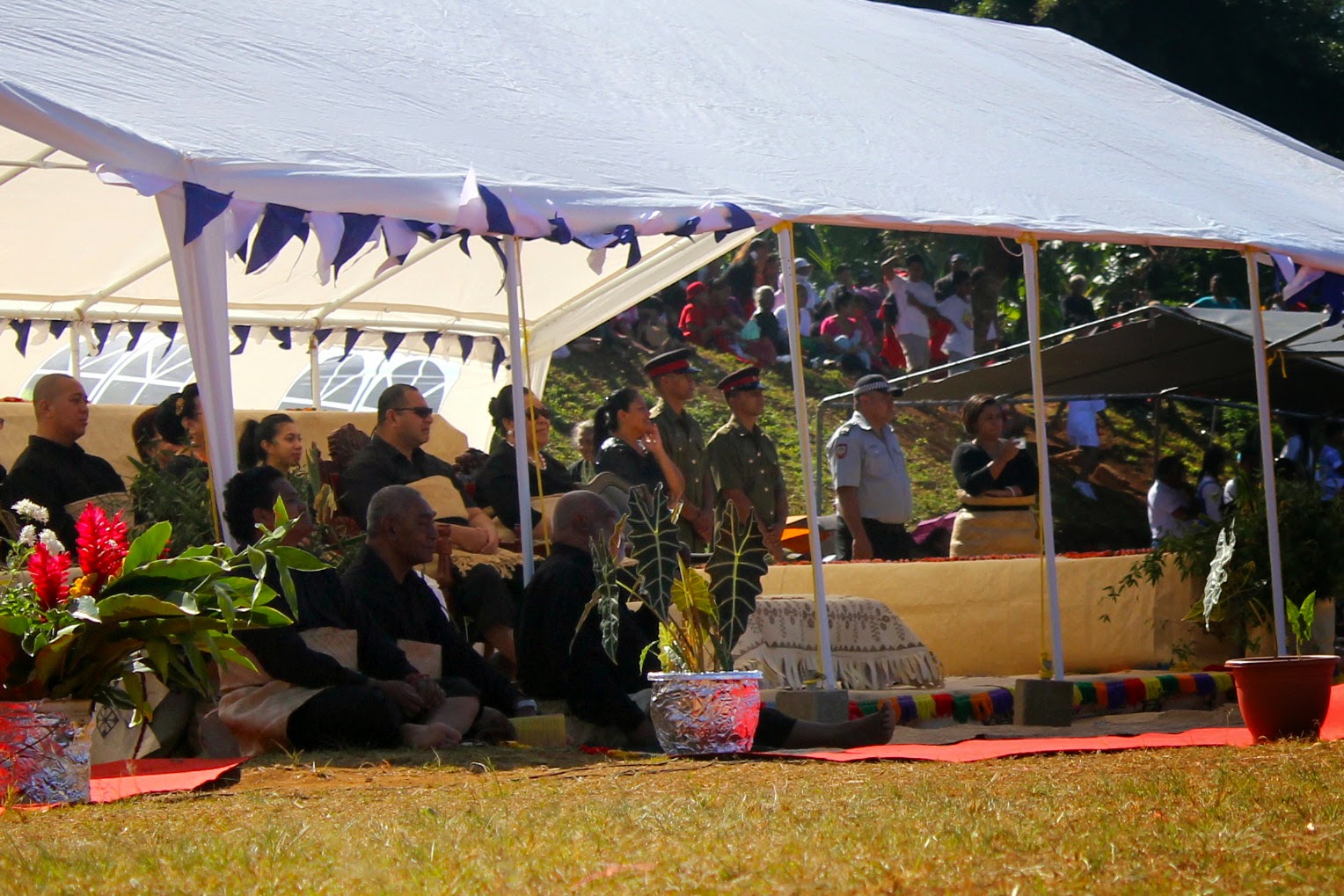 Beneath a Balcony of Stars: A Journey to Tonga: Birthday Celebration ...