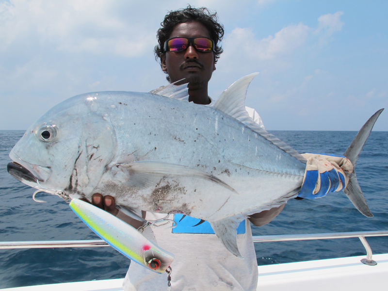 Tackle Source: GT POPPING INDIAN STYLE!