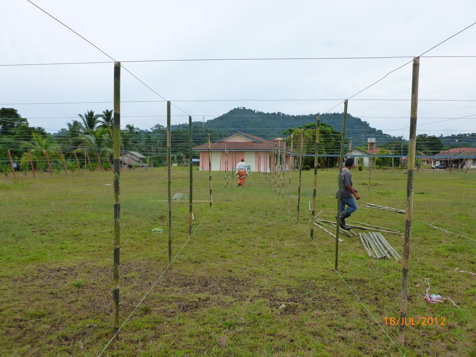 OBO: Projek Tanaman Timun Fertigasi Terbuka Di SMK Kuala Jengal, Dungun ...