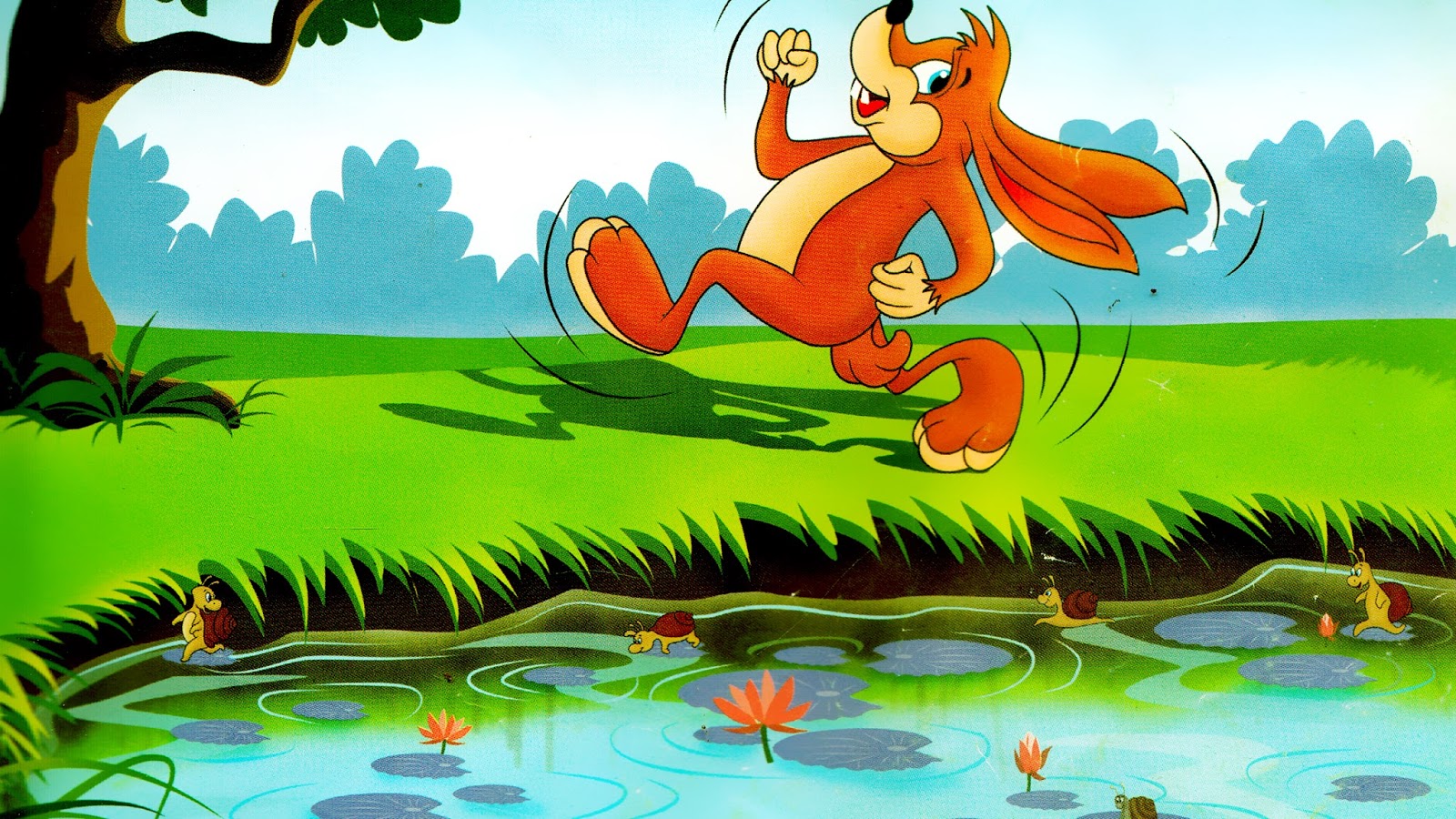 The rabbit and the Snail | DD