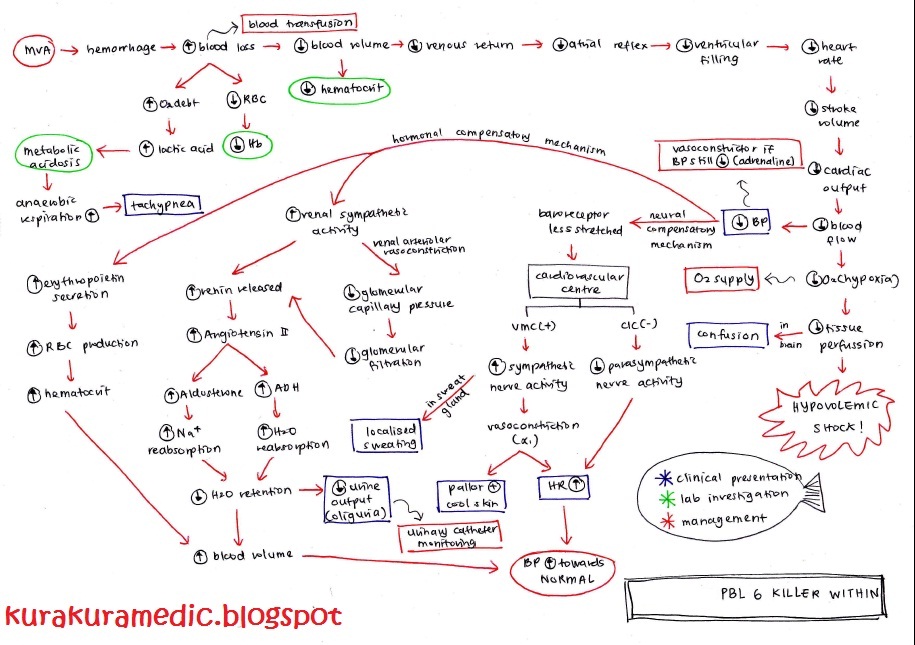 All About Medic UKM: Cardiovascular System - CL & PBL