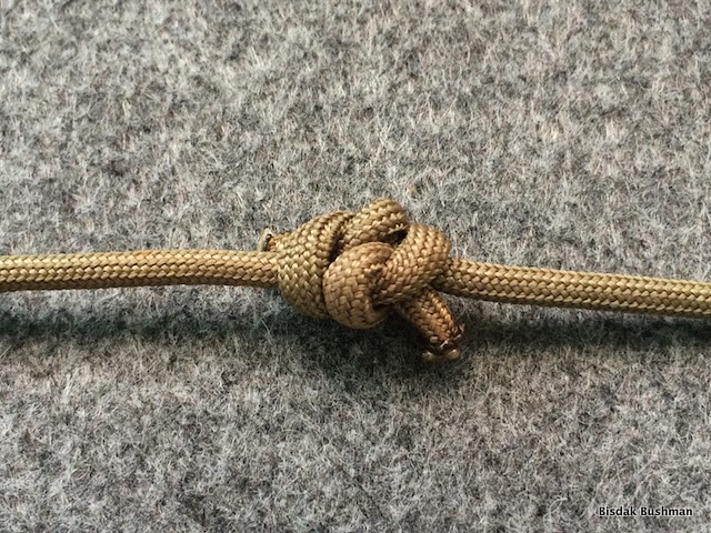 Some Basic Important Knots