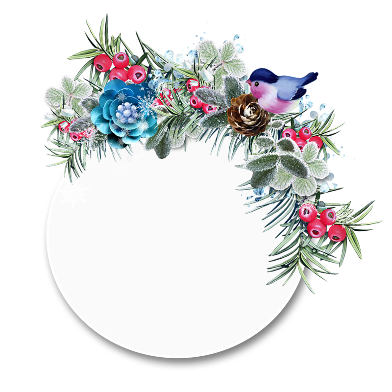 ForgetMeNot: cluster winter frames