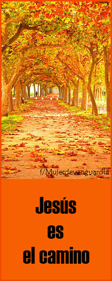 Jesús es el camino (separador)